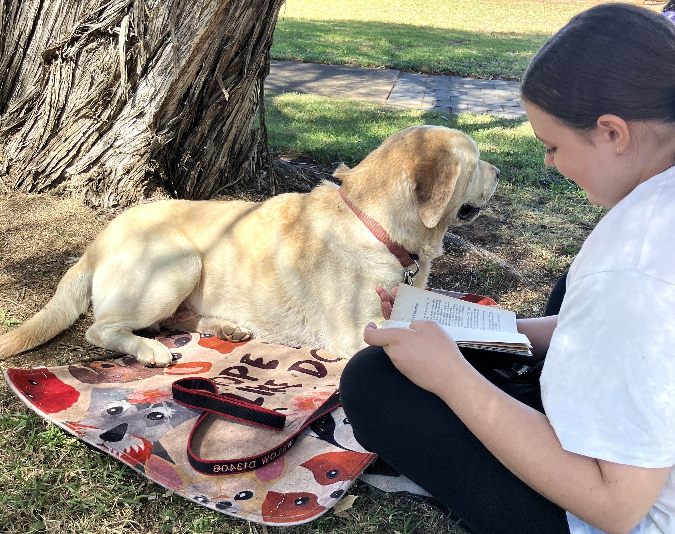 Principal's Welcome - Edmund Rice Flexible School